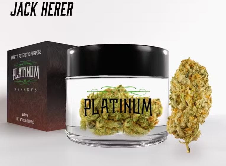 Platinum Reserve | Flower | Jack Herer | Jar 3.5g
